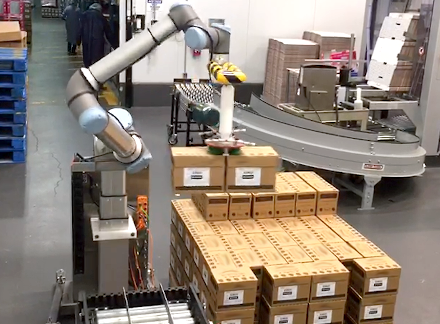 Apex Motion Control - Cobots & Robots for Bakery, Food, Pharma & Dairy