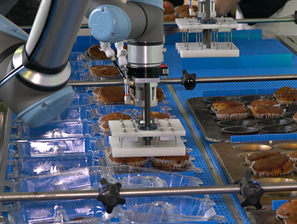 flexi-bot cobot | Apex Motion Control - Cobots, Robots and Automation ...